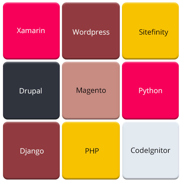 Software Development Company | Software Development Services